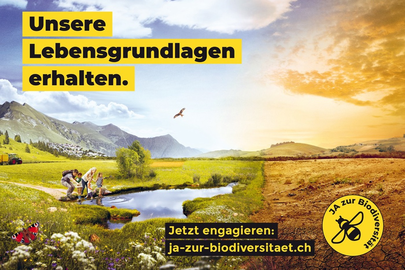 Ja zur Biodiversitätsinitiative! | Zeitschrift von BirdLife Schweiz