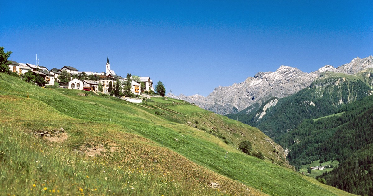 Ein Tal verliert seine Vögel | Zeitschrift von BirdLife Schweiz